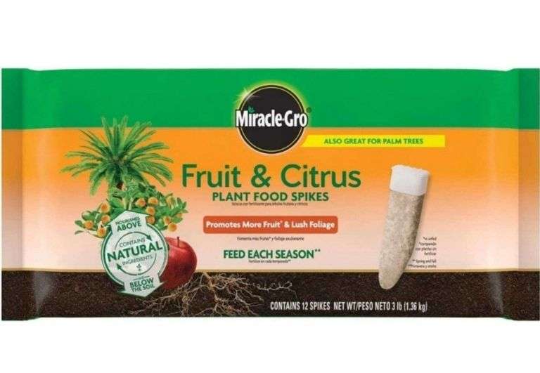 Miracle-Gro Fruit and Citrus Plant Food Spikes 12-Count Tree Food ...