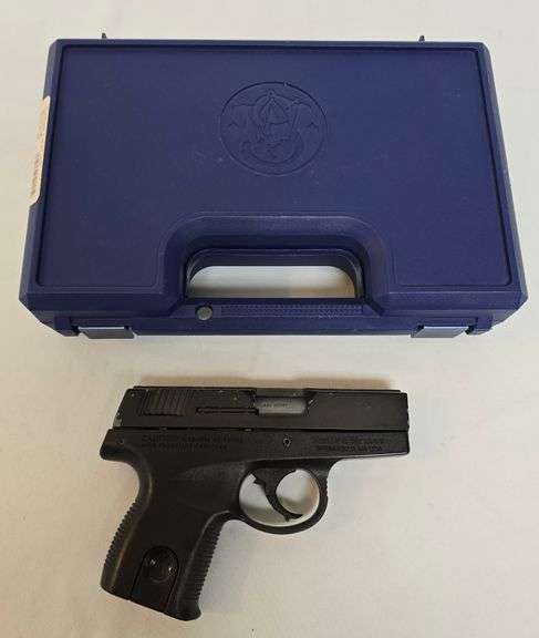 Smith & Wesson Model SW380 .380 Auto Pistol with Hard Case - Metzger ...