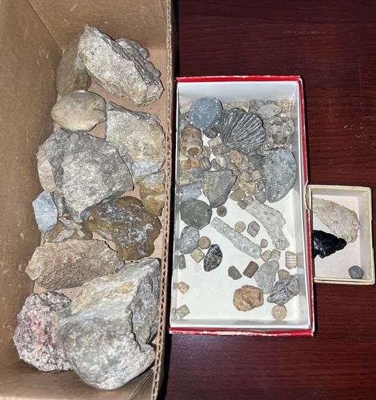 Native American artifacts, Fossils, assorted rocks - Metzger Property ...