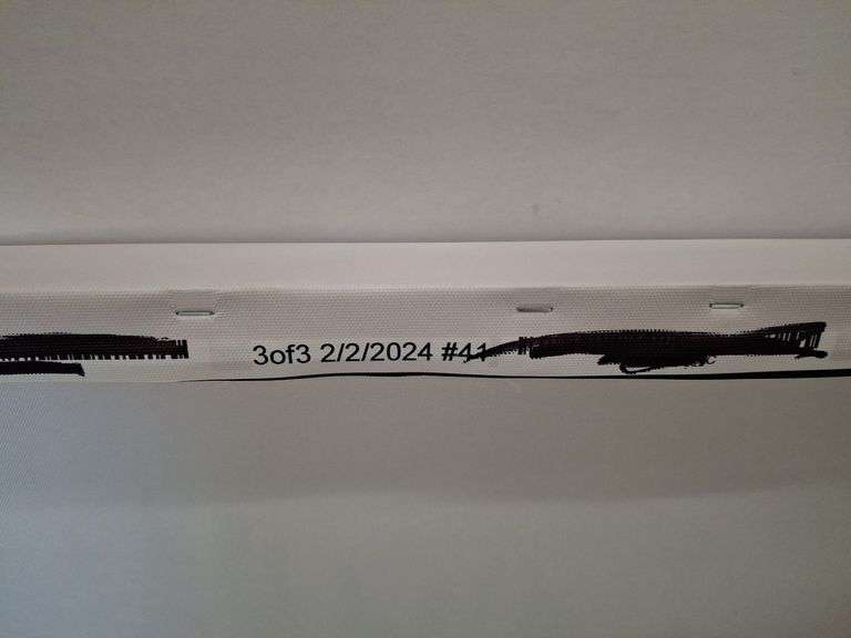 3 Black and White Forrest Canvases 36”x24” - Metzger Property Services, LLC