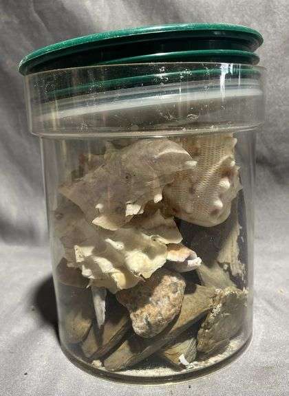 Jar w/ shells - Metzger Property Services, LLC