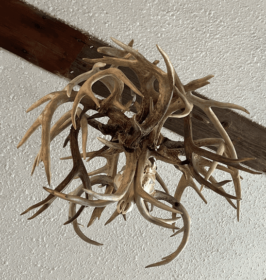 Antler orb deer rack decoration 36x25" - Metzger Property Services, LLC