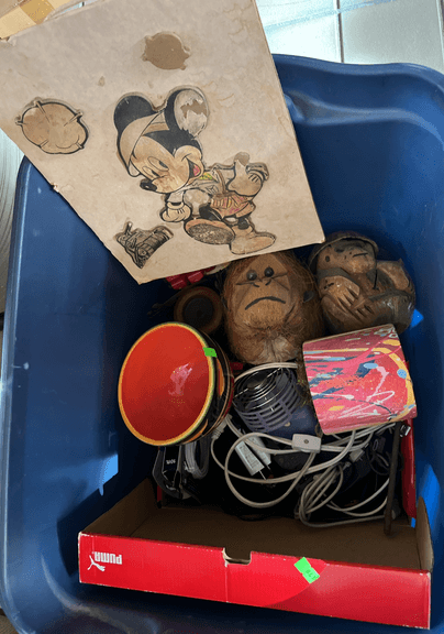 Coconut decor, mickey mouse coloring, bowl, cord assortment and misc ...