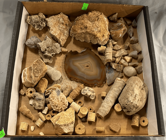 Rock & fossil collection assortment - Metzger Property Services, LLC