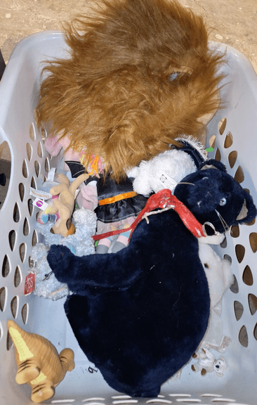 Stuffed Animal Assortment - Metzger Property Services, LLC
