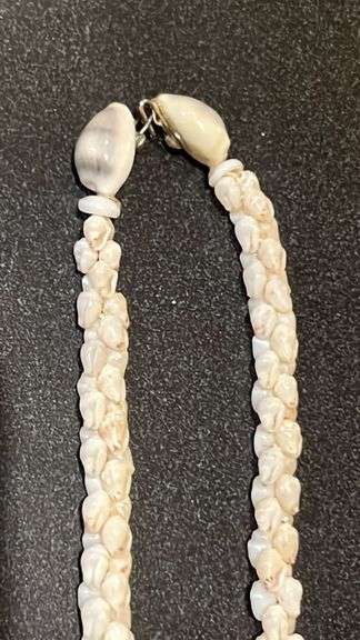 Shell Necklace And Matching Earrings Metzger Property Services Llc