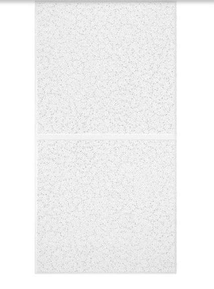 Armstrong CEILINGS Scored 24 in. x 48 in. Tegular Ceiling Tile (80 sq ...