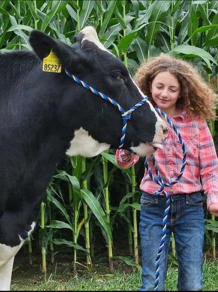 Wiley, Katarina, Grade: 5, Parents: Todd & Linsee Wiley, Project(s ...