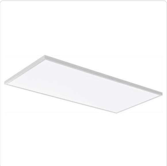 Lithonia Lighting Contractor Select CPANL DCMK 2 ft. x 4 ft. 4000 ...