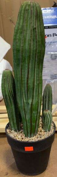 Artificial Cactus Fake Cacti 16" Faux Potted Cactus Plants for Home ...