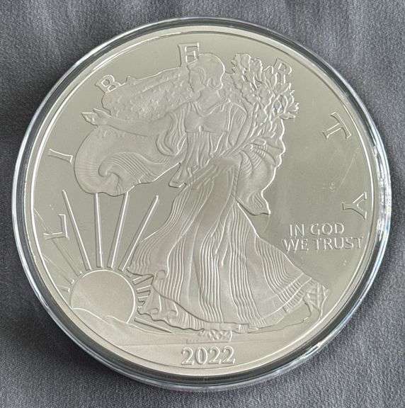 1 Pound .9999 Silver Eagle Round With Case (16 Oz.) - Metzger Property ...