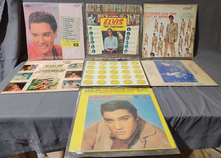 (7) Elvis Vinyl Records - Metzger Property Services, LLC