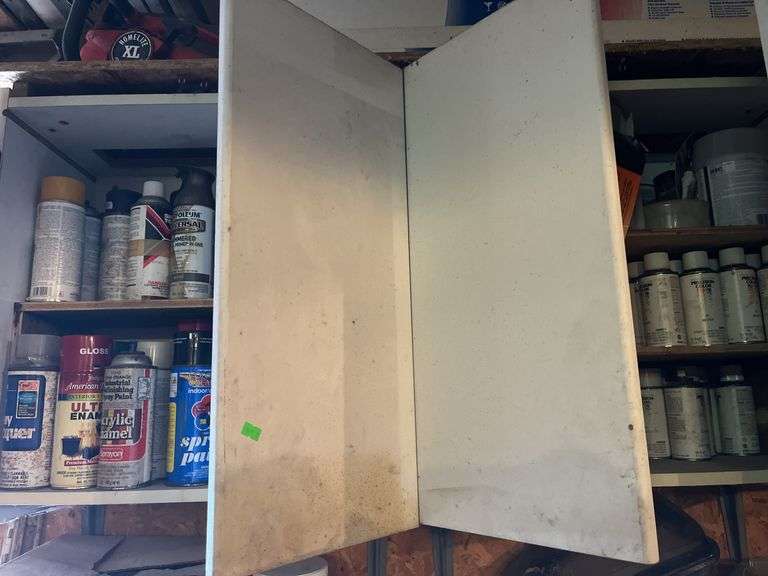 Spray Paint Assortment - Metzger Property Services, LLC