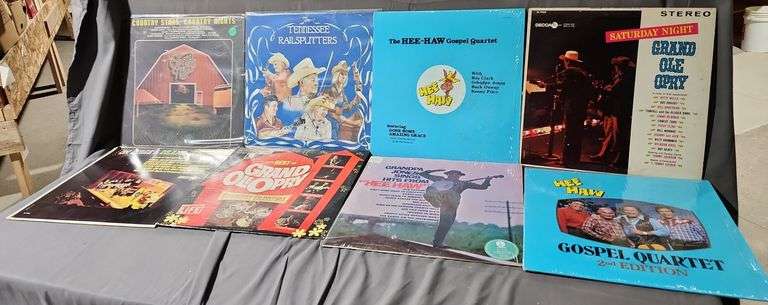 9 Vinyl Records - Grand Ole Opry, The Tennessee Railsplitters, The Hee ...