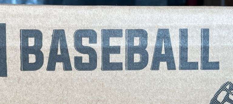 Baseball batting practice set - Metzger Property Services, LLC