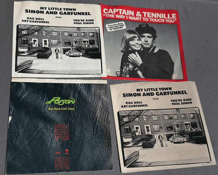 50+ 45 RPM Vinyl Record Sleeve Covers - Metzger Property Services, LLC