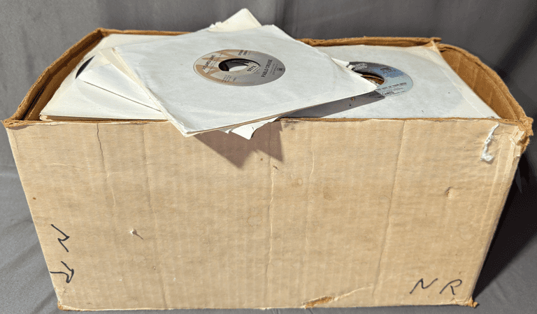 50+ 45 RPM Classic Rock Vinyl Records Including The Rose Brothers, Rita ...