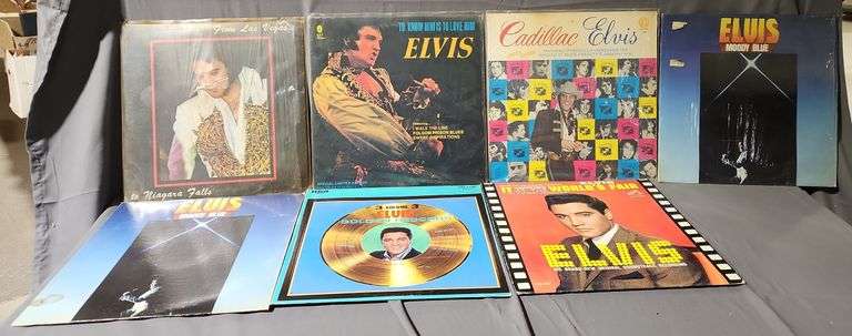 (6) Elvis Vinyl Records - Metzger Property Services, LLC