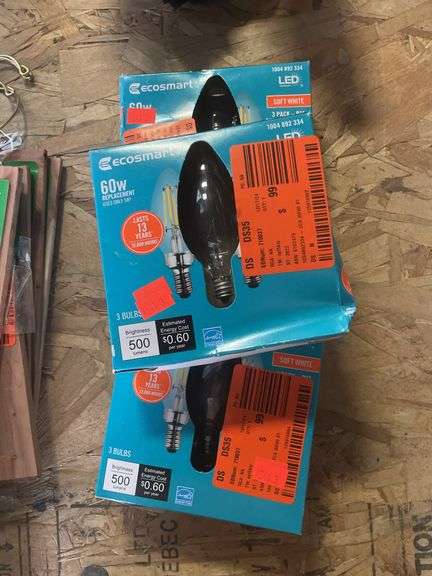 EcoSmart 60W Replacement Bulb assortment - Metzger Property Services, LLC