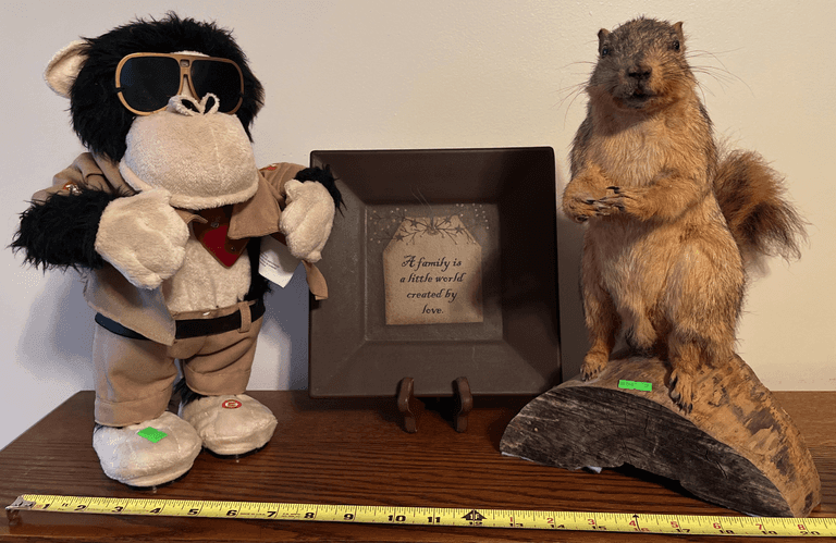 Mounted squirrel, animated monkey, decor plaque - Metzger Property ...