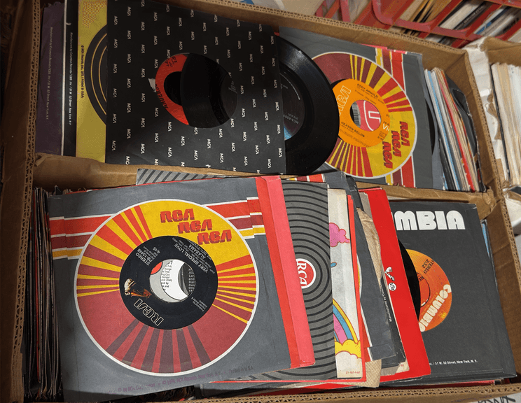 50+ 45 RPM Country Vinyl Records Including Alabama, Susie Allanson, Moe ...