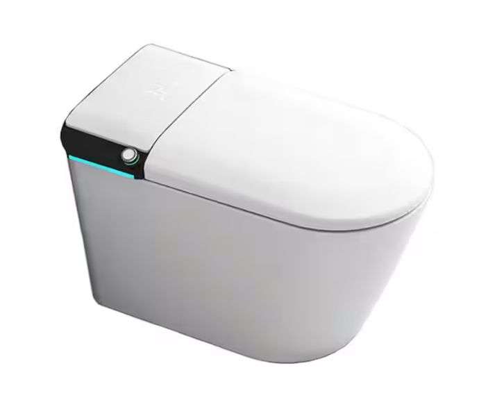CATALINA 1.28 GPF Auto Open Close Lid Elongated Smart Bidet Toilet in ...