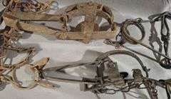 (12) Metal Animal Traps - Metzger Property Services, LLC