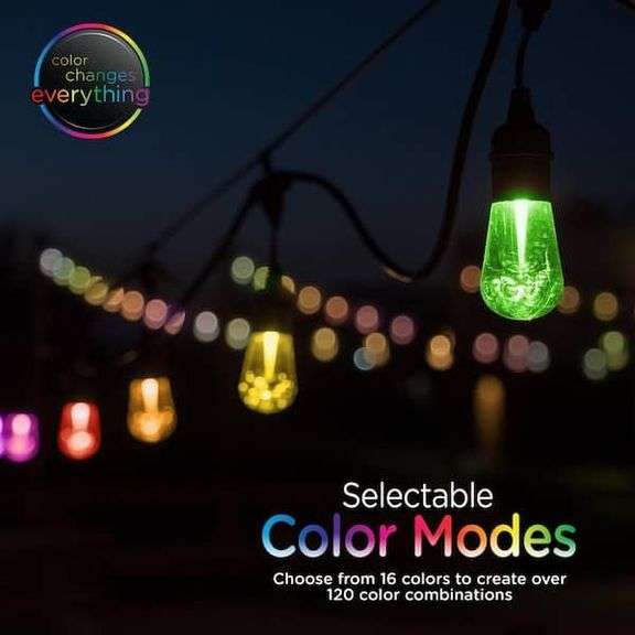 EcoScapes Wi-Fi LED Shatter-Proof Café Lights, 12 Bulbs, 24 Feet ...