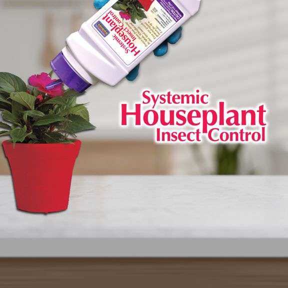 Bonide Brand Houseplant Insect Control Granules, 8 Oz. - Metzger ...