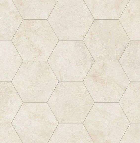 50 sq. ft. Hexagon Ivory Matte Porcelain Floor and Wall Tiles - Metzger ...