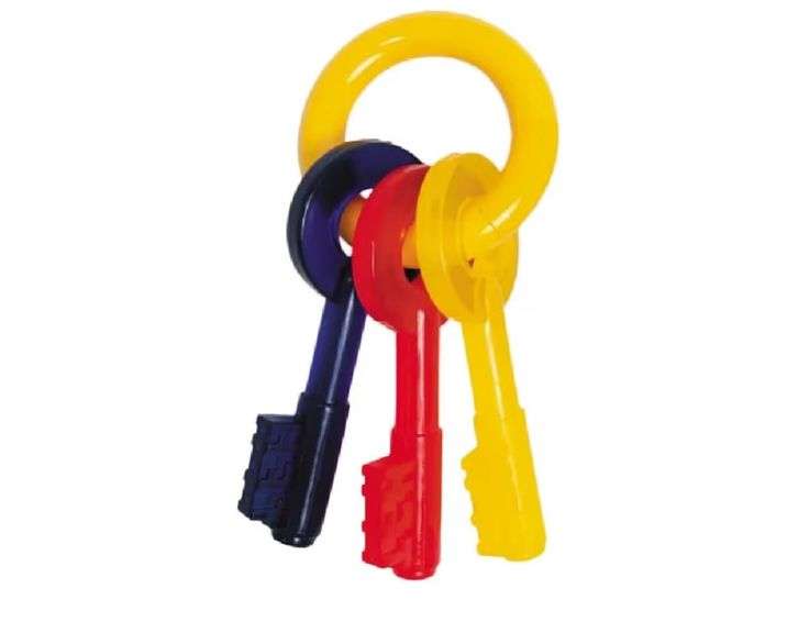 Puppy teething toy Plastic Toy Keys - Metzger Property Services, LLC