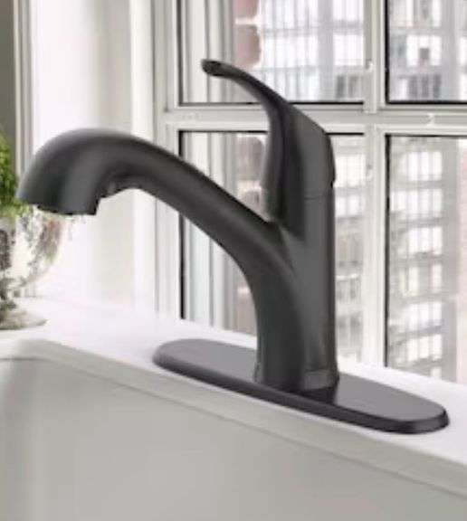 Project Source Pull-Out Kitchen Faucet in Matte Black Finish - Metzger ...