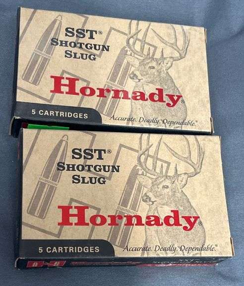 Hornady SST Shotgun Slug 12 GA 2 3/4” 300 GR Ammunition, 2 Boxes – 10 ...