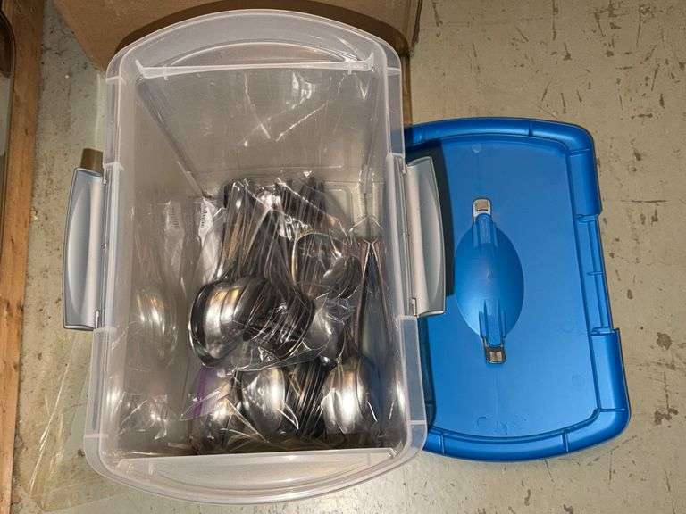 Stainless Steel Spoons in Plastic Storage Bin - Metzger Property ...