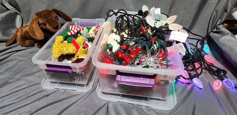 Holiday-Themed Items and String Lights in Storage Containers - Metzger ...