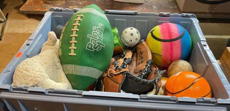 Plastic Storage Bin with Sports Balls and Toys - Metzger Property ...