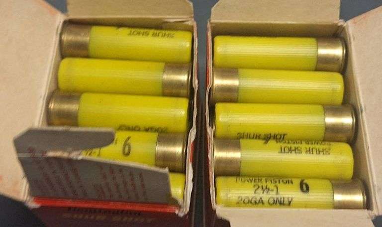 Remington Shur Shot 20 GA Shotgun Shells - 50 rounds - Metzger Property ...