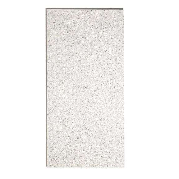 USG CEILINGS - 2 ft. x 4 ft. Radar Basic White Square Edge Lay-In ...