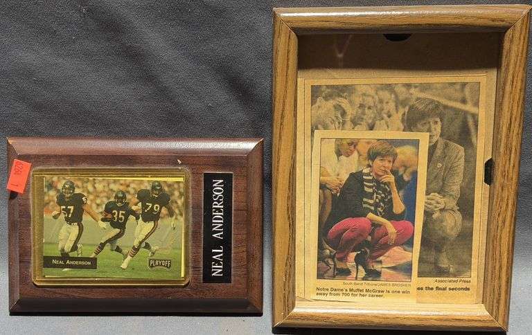 Neal Anderson Football Playoff Card on Plaque, Framed Notre Dame Muffet ...