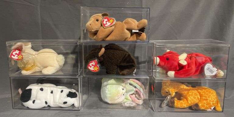 (7) TY Beanie Babies in plastic display cases including Goochy, Dotty ...