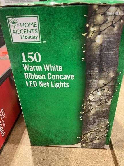 Home Accents 150 Warm White Ribbon Concave LED Net Lights - Metzger ...