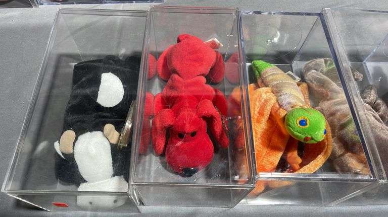 (8) TY Beanie Babies in plastic display cases including Bucky, Glow ...
