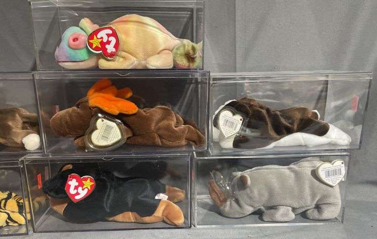(7) TY Beanie Babies in plastic display cases including Doby, Spike ...