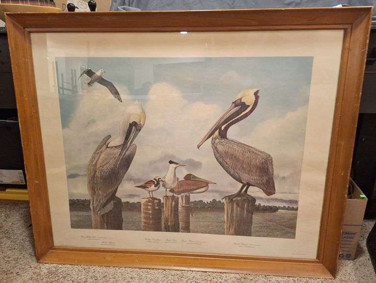 1967 Ray Harm Wildlife Art "Ring Billed Gull, Ruddy Turnstone, Royal ...