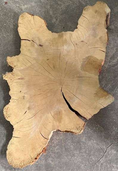 Natural Cut Slab of Tree Trunk with Visible Rings - Metzger Property ...