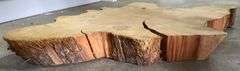 Natural Cut Slab of Tree Trunk with Visible Rings - Metzger Property ...