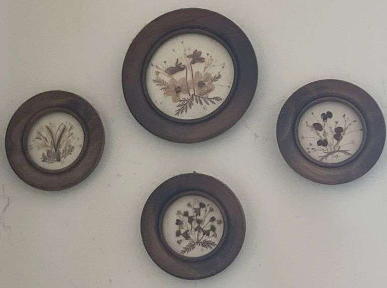 Set of Four Round Frames with Pressed Botanical Specimens - Metzger ...