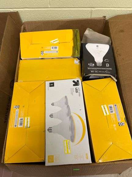 LED Light Bulbs and Fixture Assortment - Metzger Property Services, LLC
