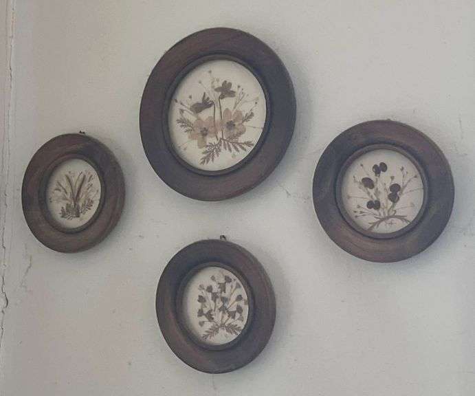 Set of Four Round Frames with Pressed Botanical Specimens - Metzger ...