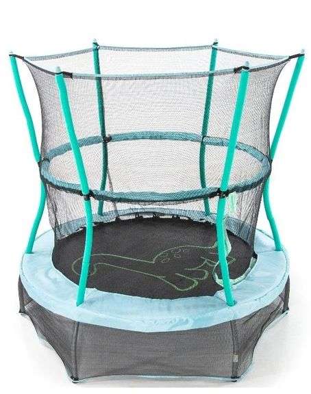 Skywalker Trampolines 55-Inch Mini Trampoline with Enclosure - Metzger ...